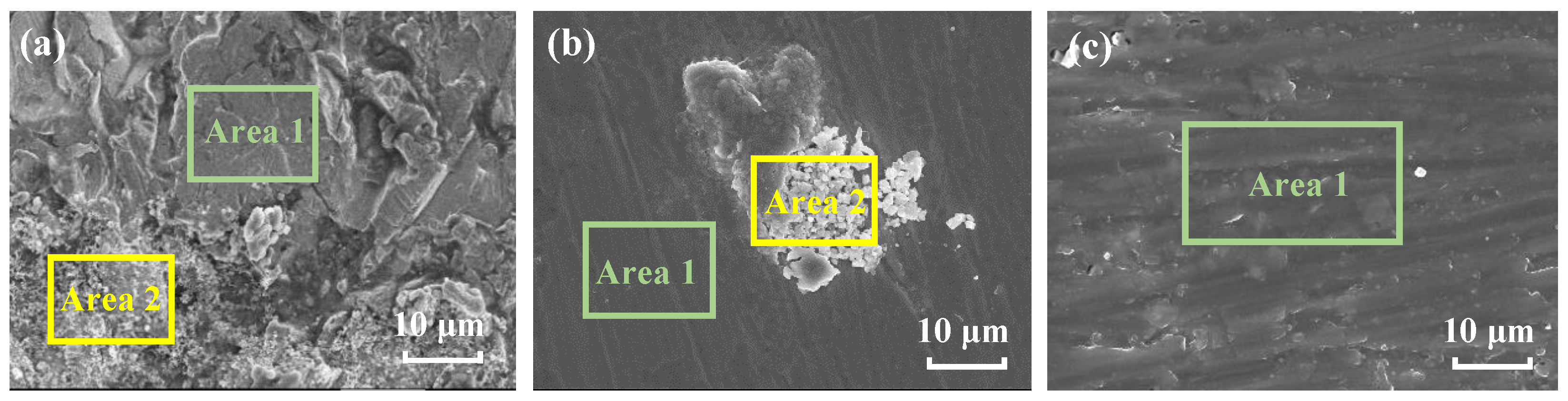 Study on the Influence of Metal Substrates on Protective Performance of ...