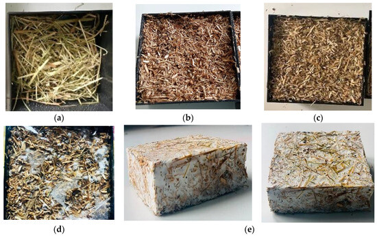 Mycelium-Based Composites as a Sustainable Solution for Waste ...