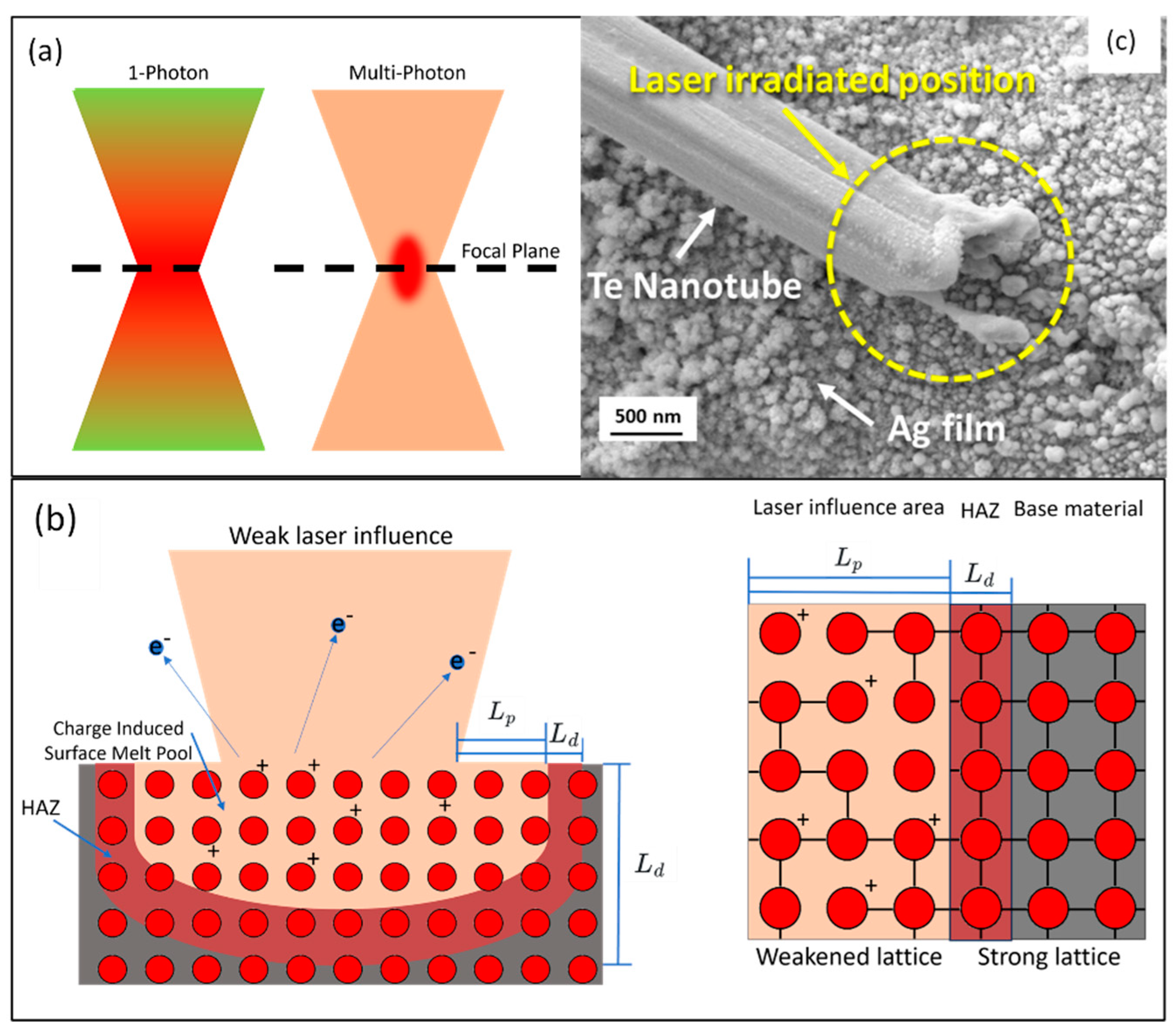 Femtosecond Laser Direct Writing of Flexible Electronic Devices: A Mini Review