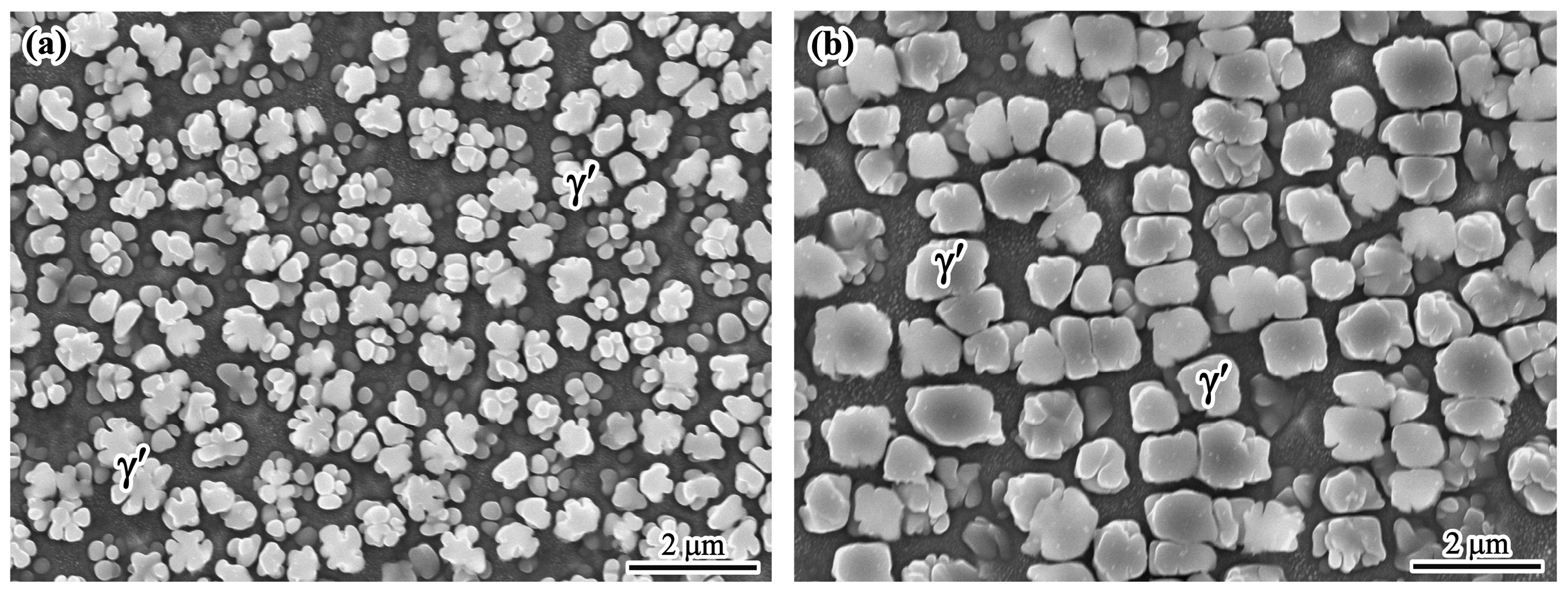 The Role of Solidified Phases on the Hot Cracking of a Large-Size ...