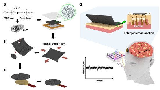 Flexible Dry Electrode Based on a Wrinkled Surface That Uses Carbon ...