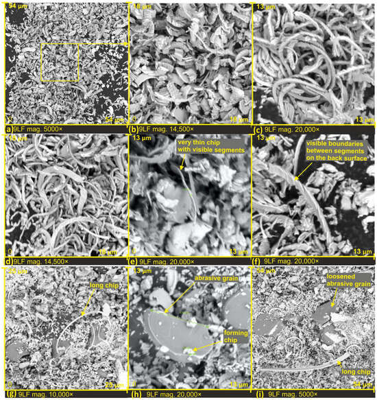 Morphology of Microchips in the Surface Finishing Process Utilizing ...