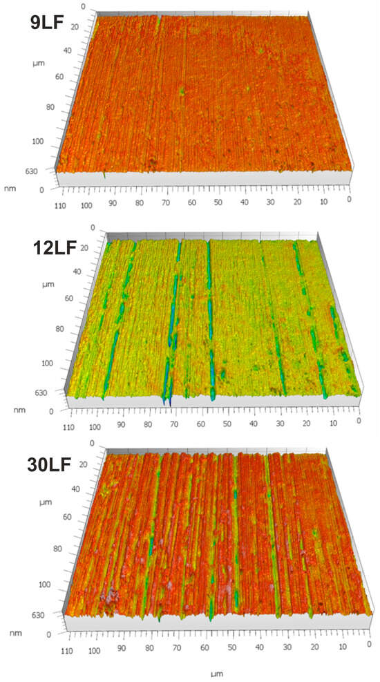 Morphology of Microchips in the Surface Finishing Process Utilizing ...