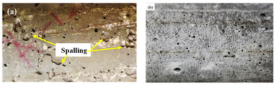 Resistance of Concrete with Various Types of Coarse Aggregate to ...