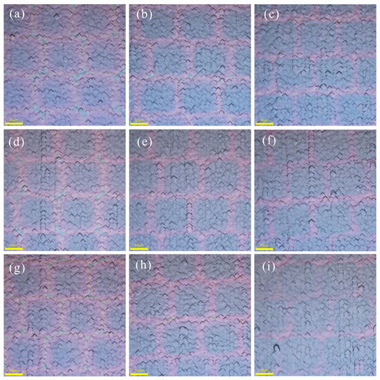 Performance of Large Area n-TOPCon Solar Cells with Selective Poly-Si ...