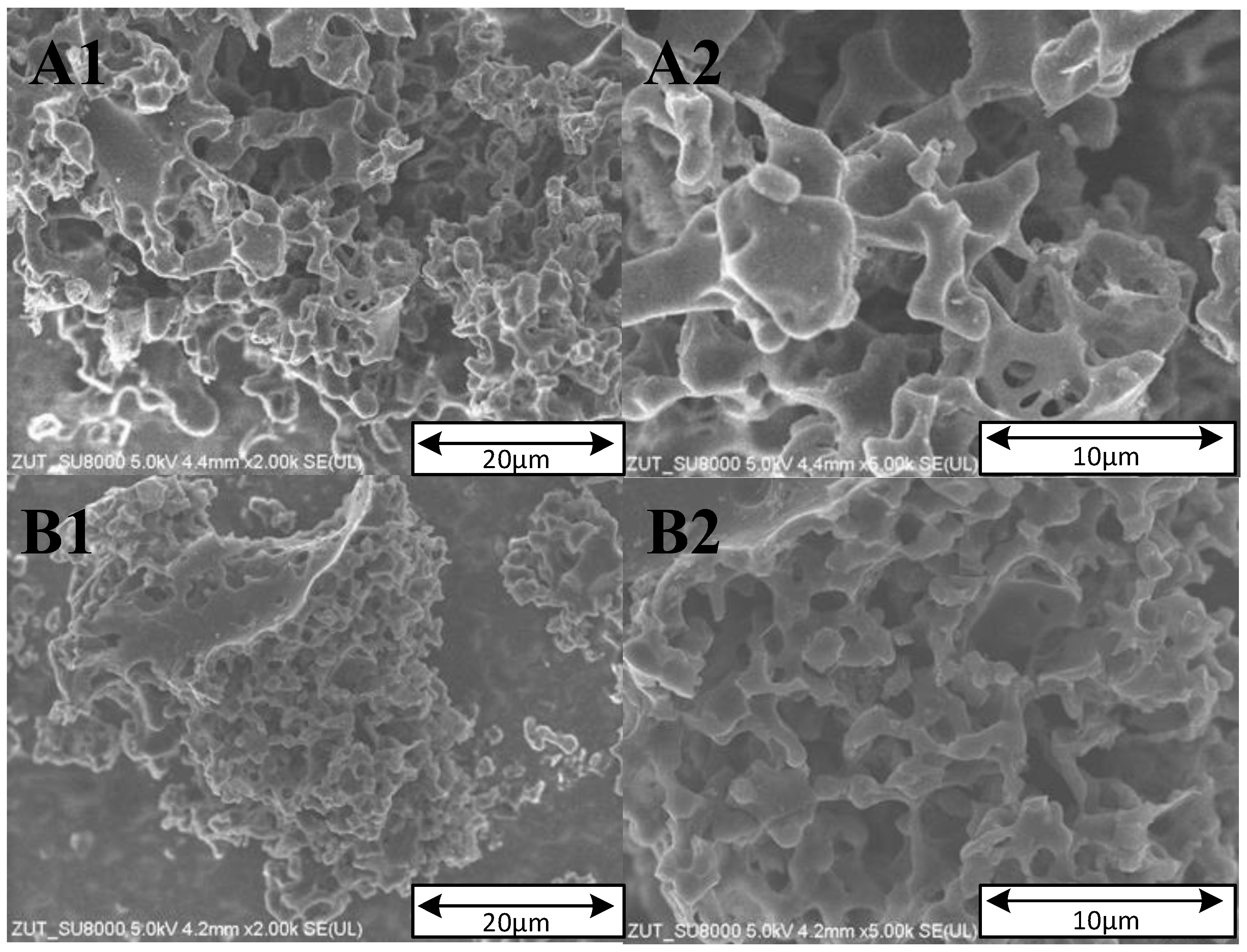 Chemical Activation of Banana Peel Waste-Derived Biochar Using KOH and ...