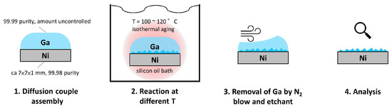 Phase Equilibria Related to NiGa5 in the Binary Ni-Ga System