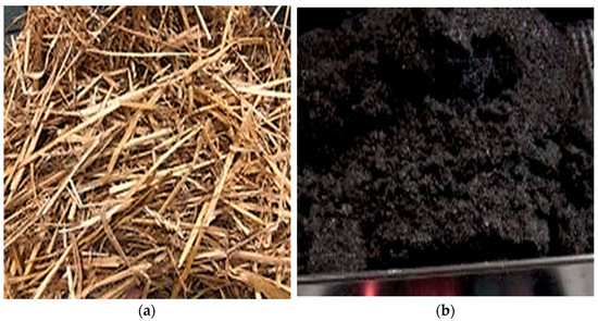Nitrogen Removal from Landfill Leachate Using Biochar Derived from ...