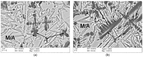 Effect of Cooling Rate on Microstructure of In Situ TiC-Reinforced Composite Surface Layers ...