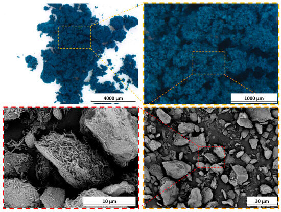 Assessing the Impact of Sepiolite-Based Bio-Pigment Infused with Indigo ...