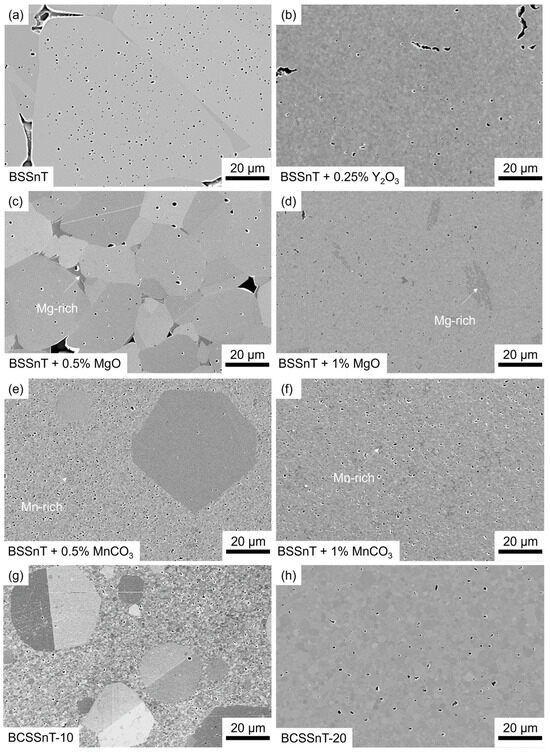 Influence of Grain-Growth Inhibitors on Modified (Ba,Sr)(Sn,Ti)O3 for ...