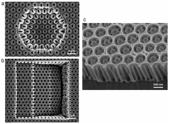 Advances in Nanoarchitectonics: A Review of “Static” and “Dynamic ...