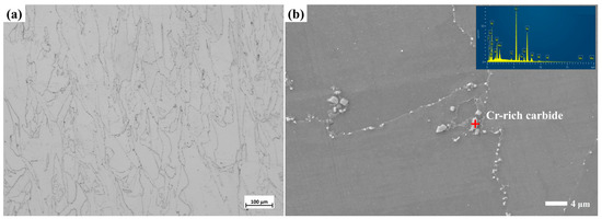 Materials | Free Full-Text | Influence of Various Heat Treatments on ...