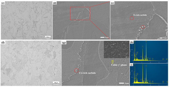Materials | Free Full-Text | Influence of Various Heat Treatments on ...
