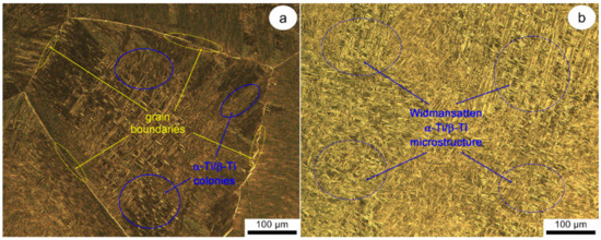 Optimizing Structural and Mechanical Properties of an Industrial Ti ...