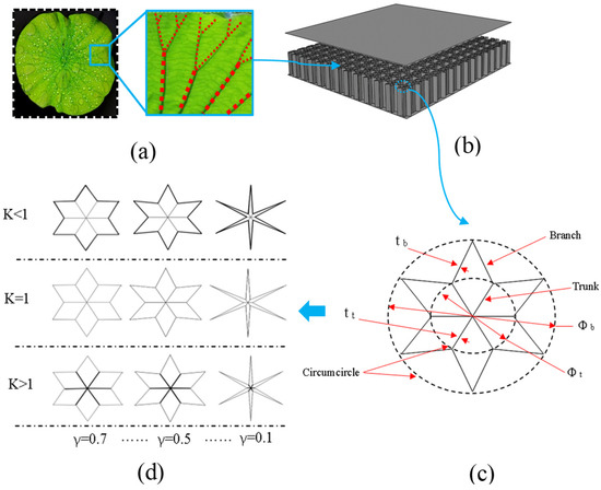 Mechanical Behavior of Bio-Inspired Honeycomb–Core Composite Sandwich ...