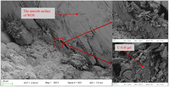 Properties of Cementitious Materials Utilizing Seashells as Aggregate ...