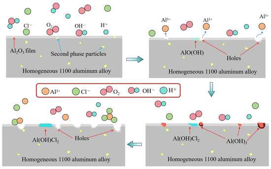 Corrosion Behavior of Homogenized and Extruded 1100 Aluminum Alloy in ...
