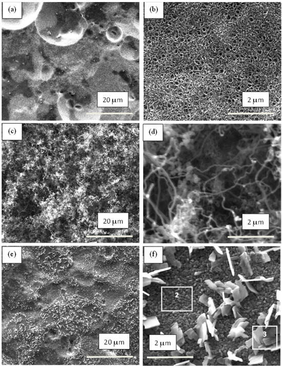 Materials | Free Full-Text | Morphology and Structure of TiO2 Nanotube ...