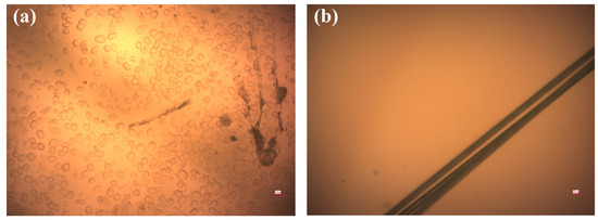 Influence of the Second-Phase Resin Structure on the Interfacial Shear ...