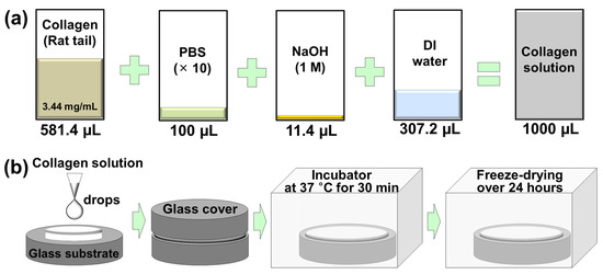 Impact of Tribological Conditions on Collagen Coating Self-Healing