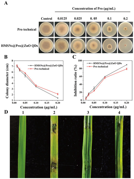pH-Responsive Pesticide-Loaded Hollow Mesoporous Silica Nanoparticles ...