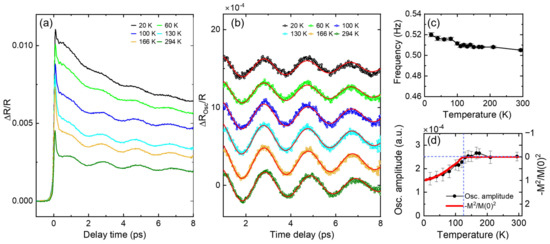 Coherent Oscillations in a SrRuO3/BiFeO3 Superlattice