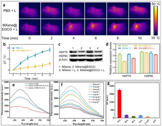 Nano-Innovations in Cancer Therapy: The Unparalleled Potential of MXene ...