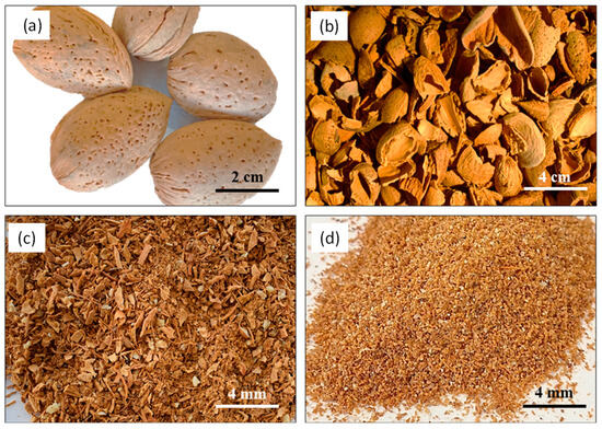 Antifungal Susceptibility Assessment of Innovative and Non-Conventional ...