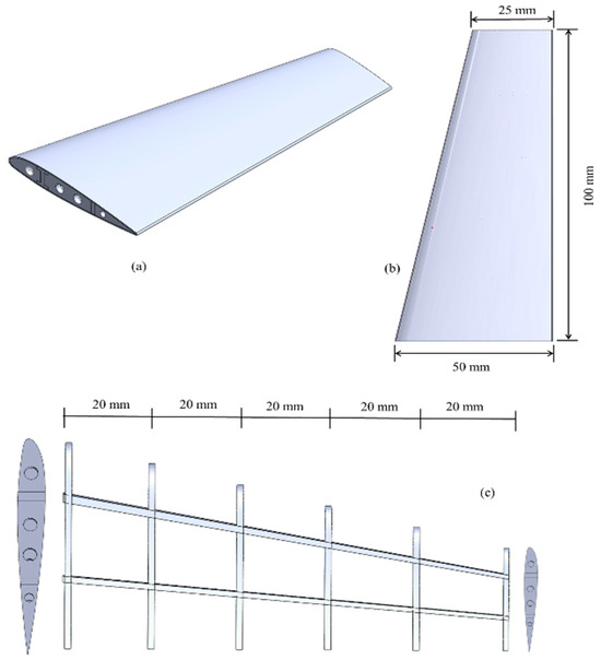 Non-Conventional Wing Structure Design with Lattice Infilled through ...