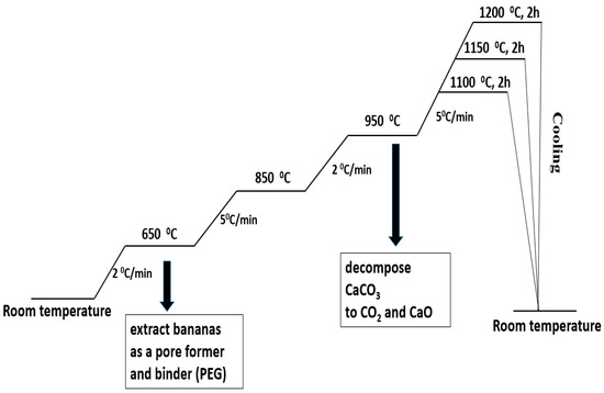 Fabrication of Porous Anorthite Ceramic Insulation Using Solid Wastes