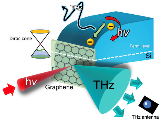Sensitive Characterization of the Graphene Transferred onto Varied Si ...