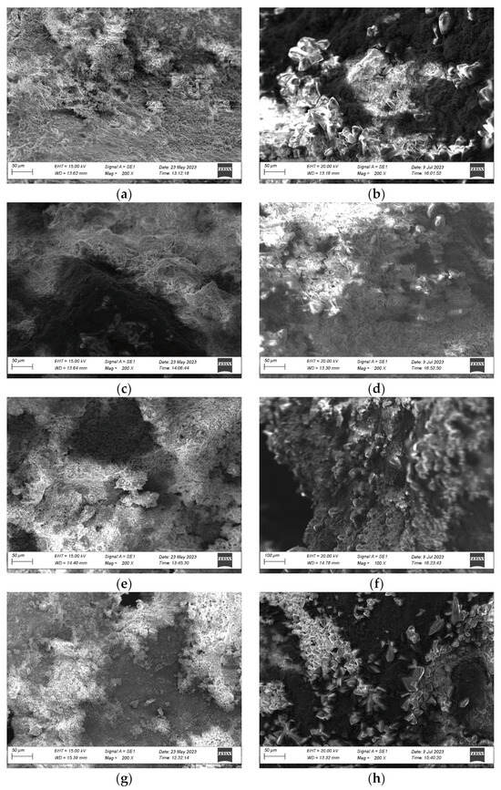 Research on the Properties of Steel Slag with Different Preparation ...