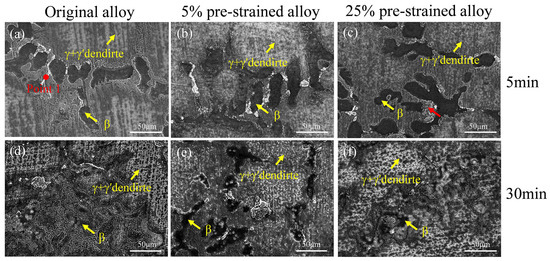 Oxidation Behavior of Pre-Strained Polycrystalline Ni3Al-Based Superalloy