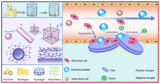 Clays and Wound Healing