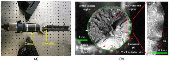 Fatigue Behavior and Fracture Surface Analysis of Corroded High ...