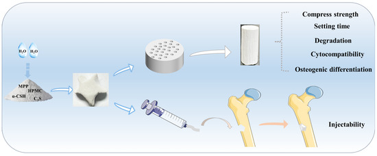 A Bioactive Degradable Composite Bone Cement Based on Calcium Sulfate ...
