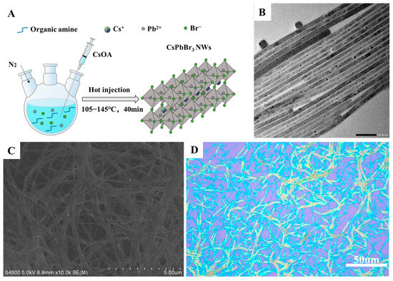 Hot-Injection Synthesis of Cesium Lead Halide Perovskite Nanowires with ...