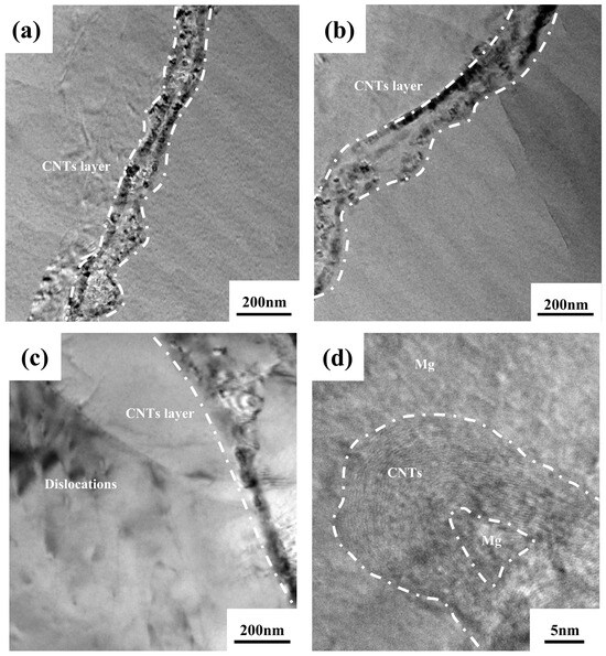 Preparation of Structure-Function Integrated Layered CNT/Mg Composites