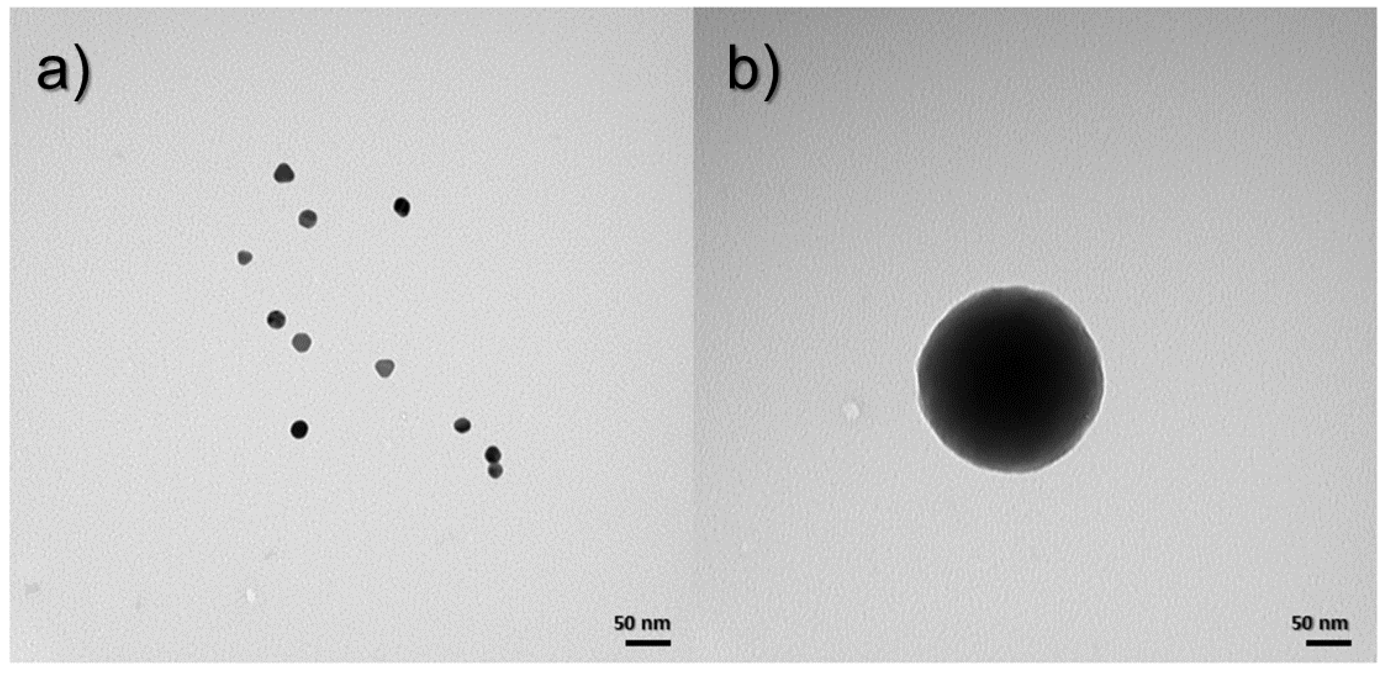 The Optimization of the One-Pot Synthesis of Au@SiO2 Core–Shell Nanostructures: Modification ...