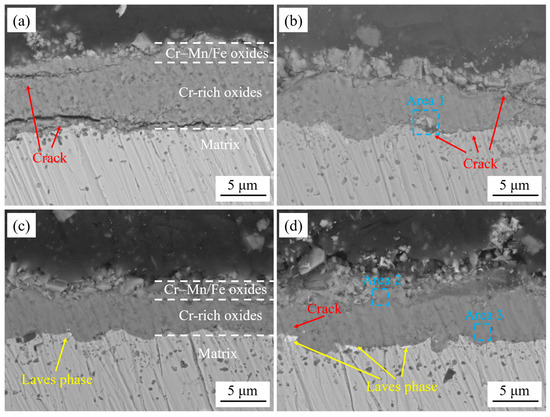 High-Temperature Cyclic Oxidation Behavior and Microstructure Evolution ...