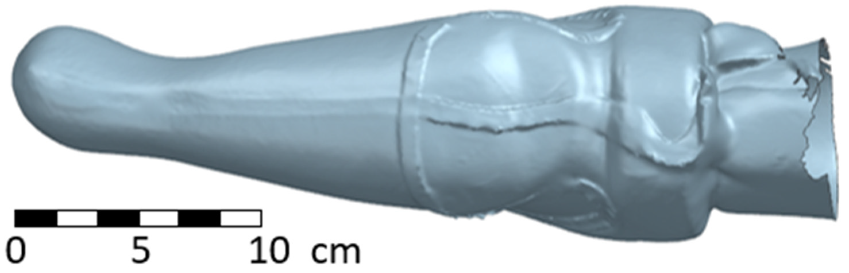Parametric Production of Prostheses Using the Additive Polymer ...