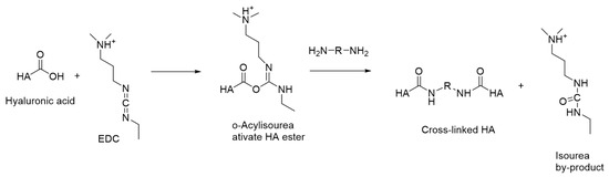 Exploring the Progress of Hyaluronic Acid Hydrogels: Synthesis ...