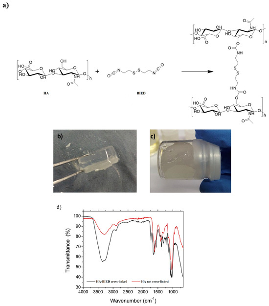 Exploring the Progress of Hyaluronic Acid Hydrogels: Synthesis ...