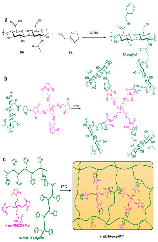 Exploring the Progress of Hyaluronic Acid Hydrogels: Synthesis ...