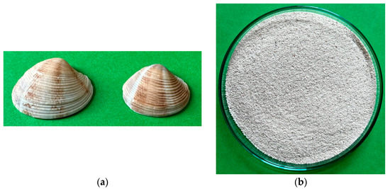 Clam Shell-Derived Hydroxyapatite: A Green Approach for the ...