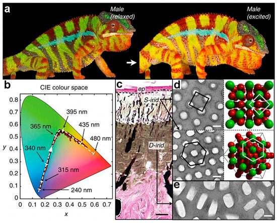 Research Progress of Bioinspired Structural Color in Camouflage