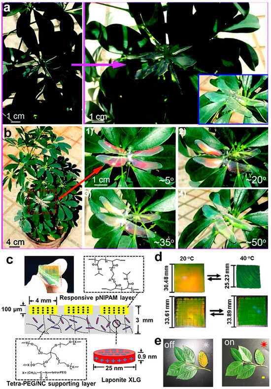 Research Progress of Bioinspired Structural Color in Camouflage