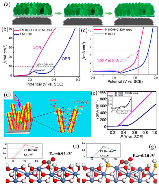Structural Design of Nickel Hydroxide for Efficient Urea Electrooxidation