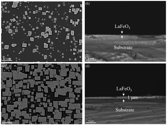 Materials | Free Full-Text | Hydrothermal Growth and Orientation of ...